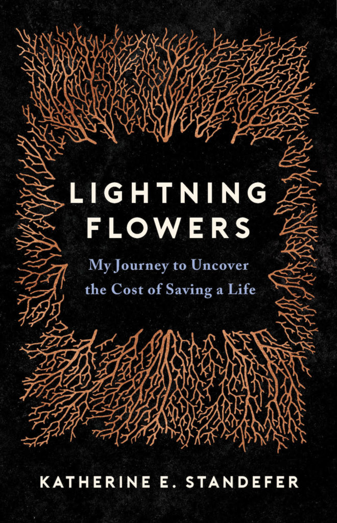 ‘Lightning Flowers’: Healthcare, survival and global supply chains ...